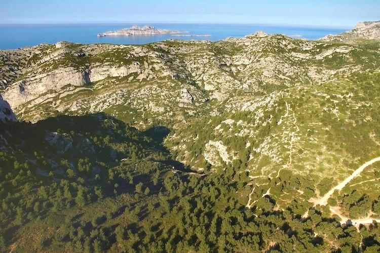 Le domaine de Luminy | Parc national des calanques