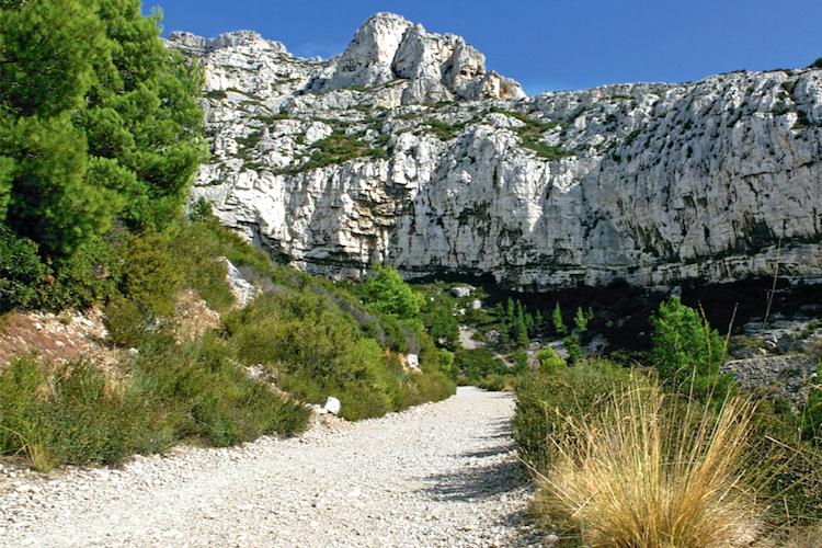 Le domaine de Luminy | Parc national des calanques